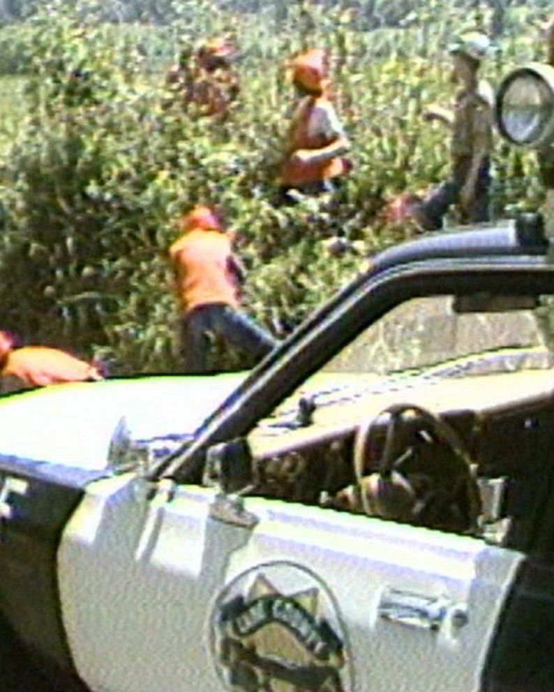 Carro De Diane Downs The Oprah Winfrey Show Diane Downs And Ann Rule 2197