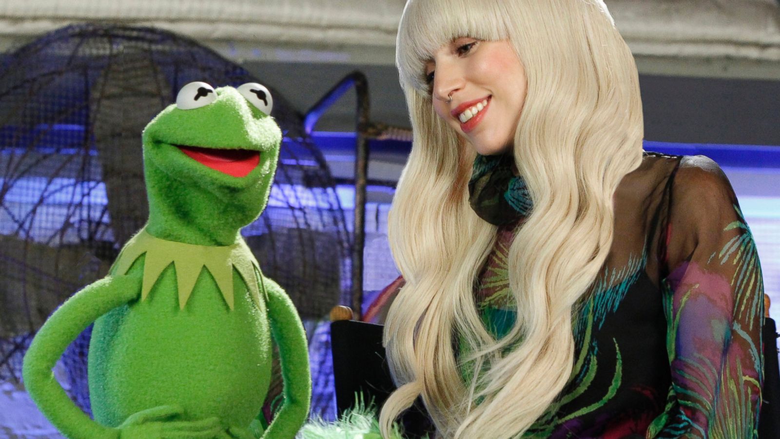 Kermit Wearing Lady Gaga