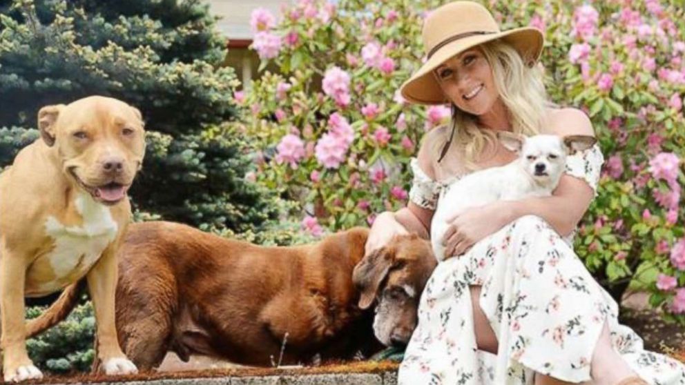 Forever home hero: How fostering over 100 dogs helped bring meaning to ...