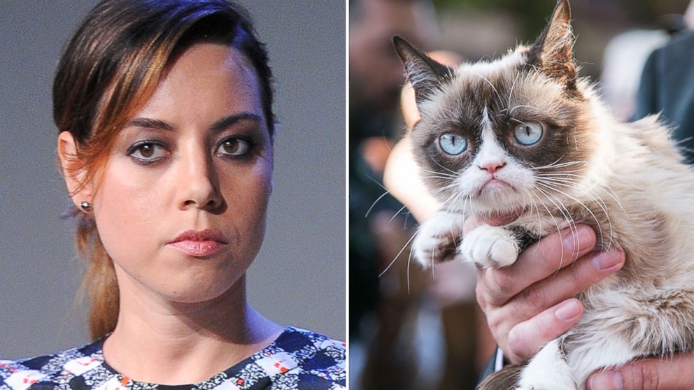 Grumpy Cat Mean Girls