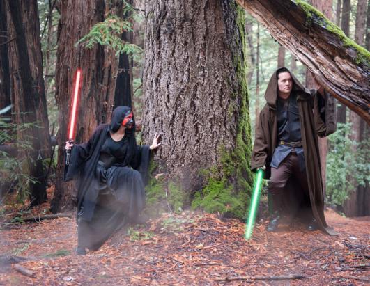 Star Wars Engagement Shoot Picture | Couple Dresses Up as a Sith and a ...