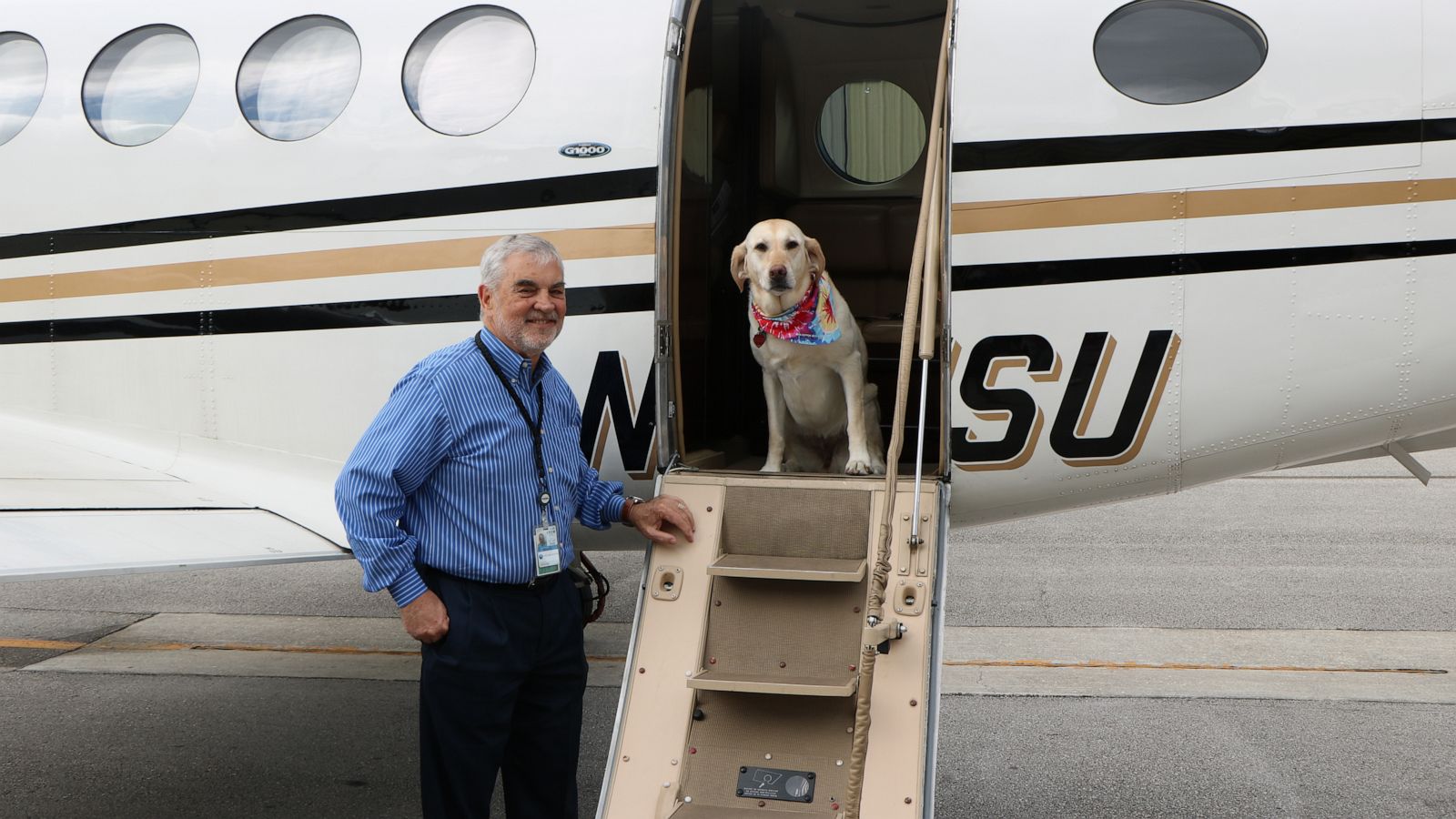 Bria is a 'pilot' dog who has flown thousands of miles - Good Morning ...