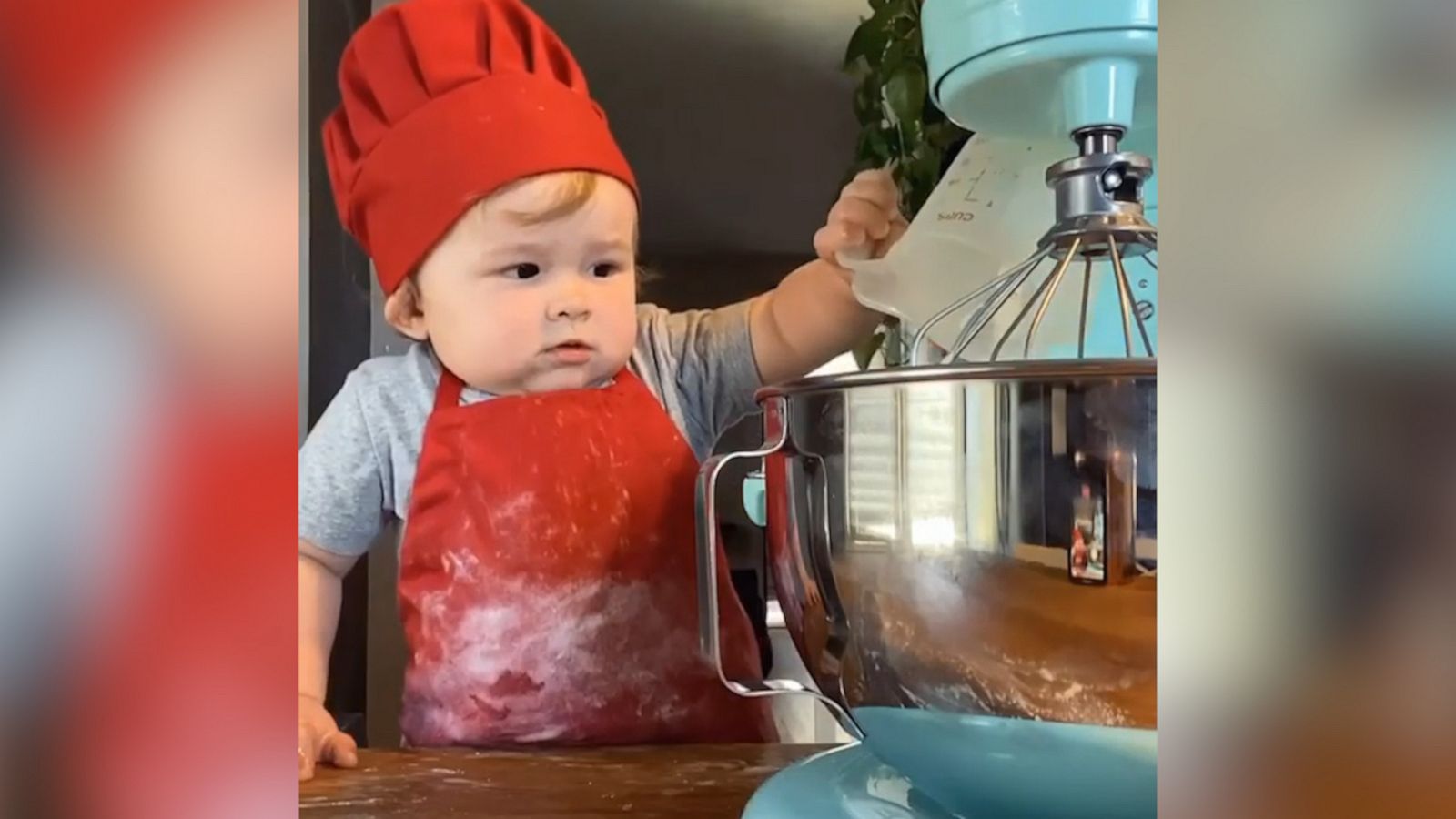 This adorable one-year-old home cook has over 1.5 million Instagram ...