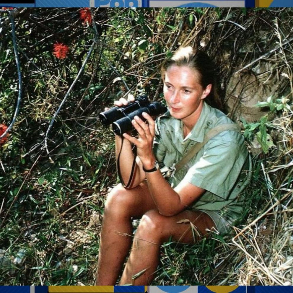 What Jane Goodall said in her last video message before her death ...