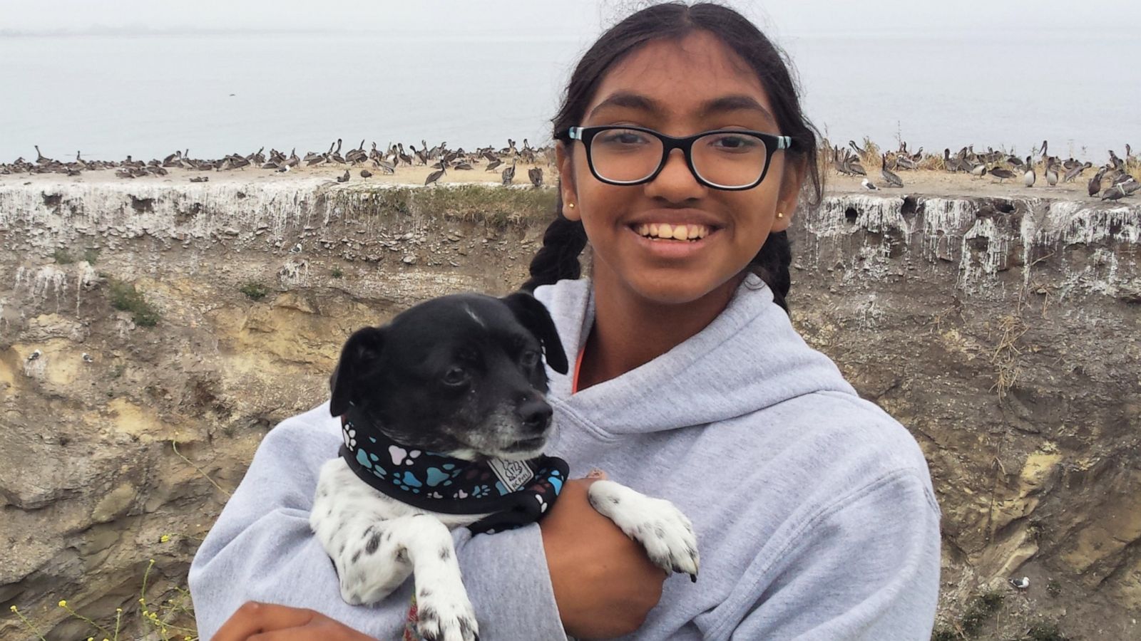 14-year-old girl who was adopted helps shelter dogs in need of adoption ...