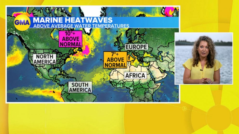 Extreme heat causes ocean temperatures to reach unprecedented levels | GMA