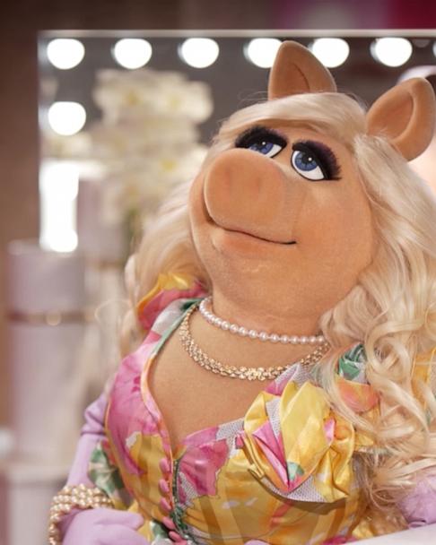 Muppet Pig