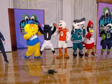 WATCH: Celebrating National Mascot Day | KXLY 920 News Now (KXLY AM)