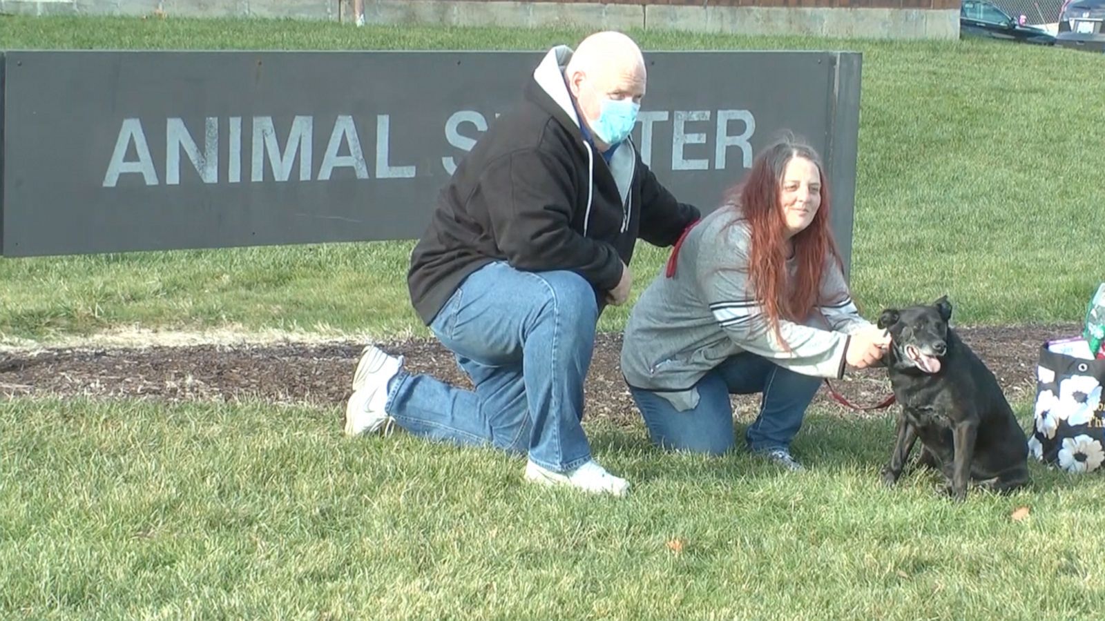 Dog returns home after being lost for 3 years - Good Morning America