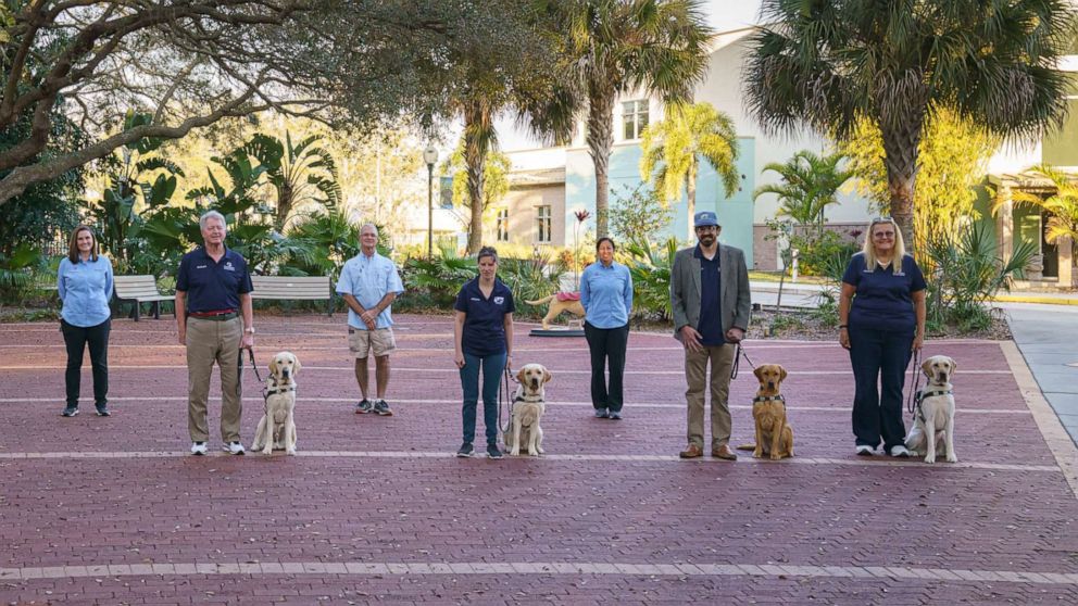 Meet the adorable new graduates from Southeastern Guide Dogs - Good ...