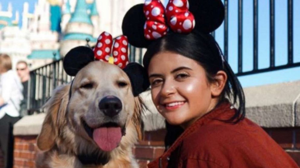 Disney is 'great training experience' for this adorable service dog ...