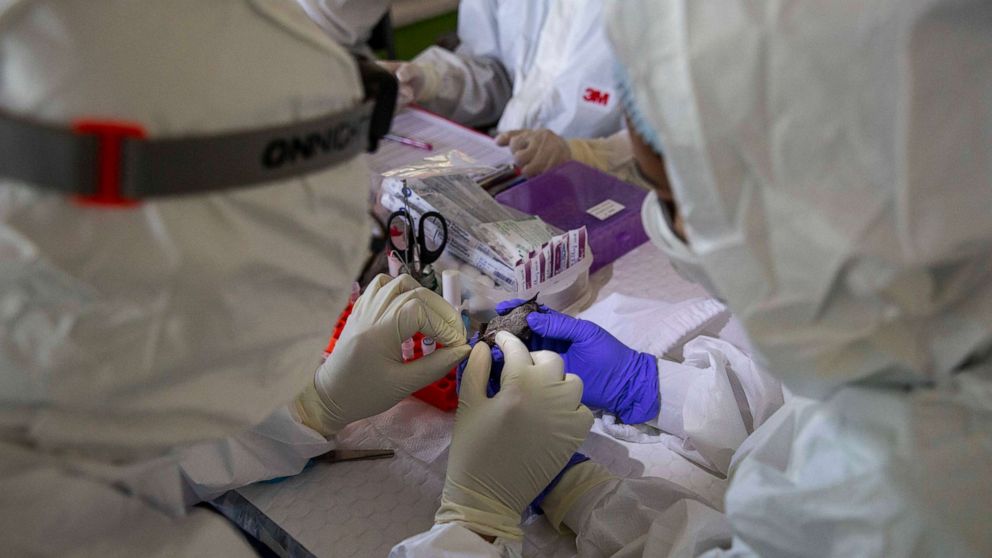 How did coronavirus get transferred from animals to humans? Scientists ...