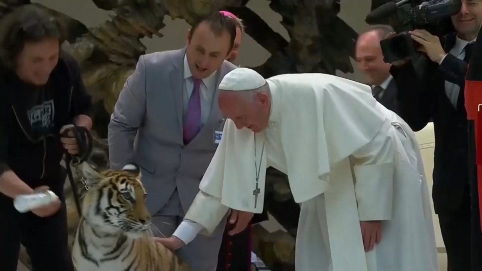 Pope Francis Hangs With One Big Cat - Good Morning America