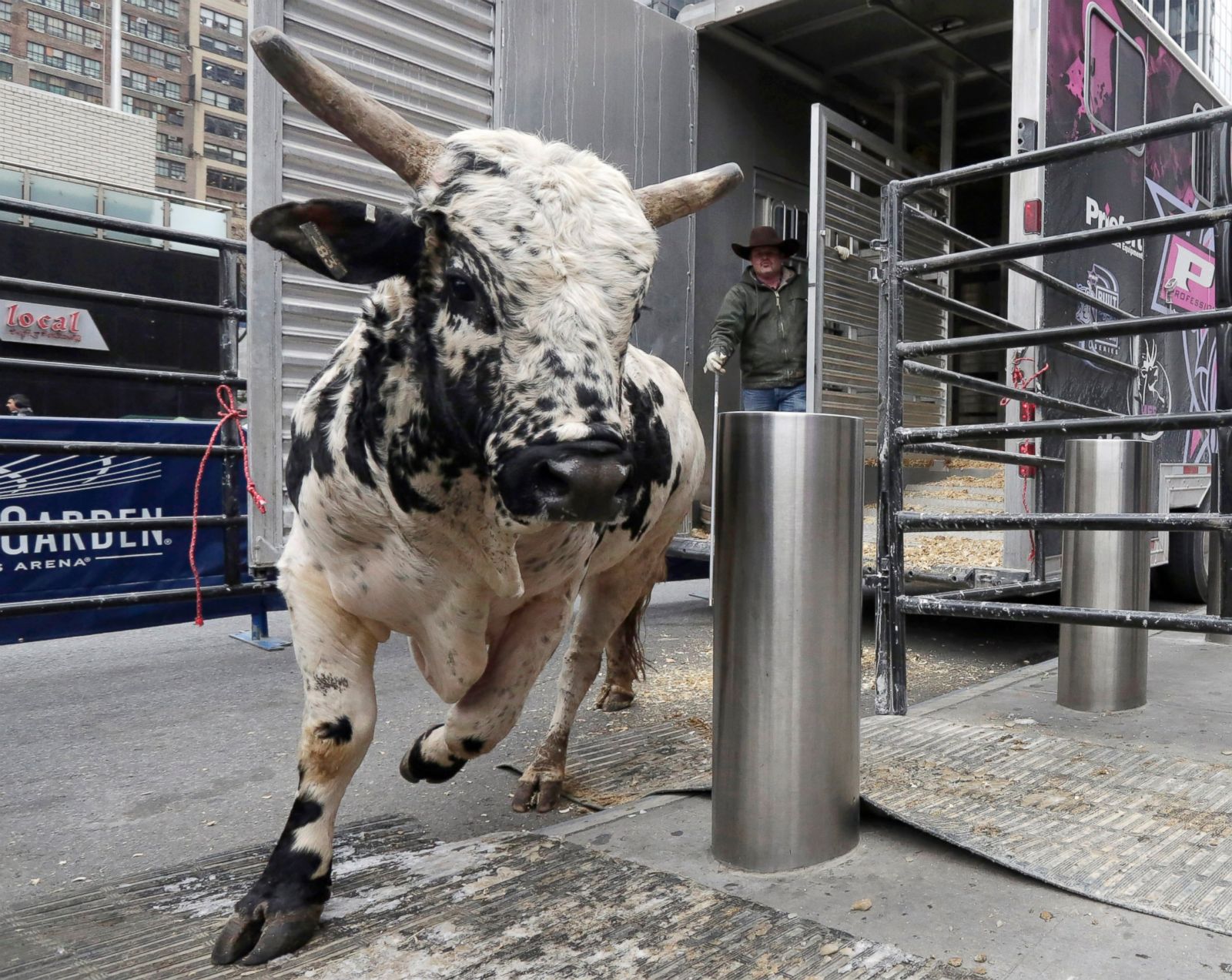 This Week in Pictures: Jan. 9, 2016 - Jan. 15, 2016 Photos | Image #61 ...
