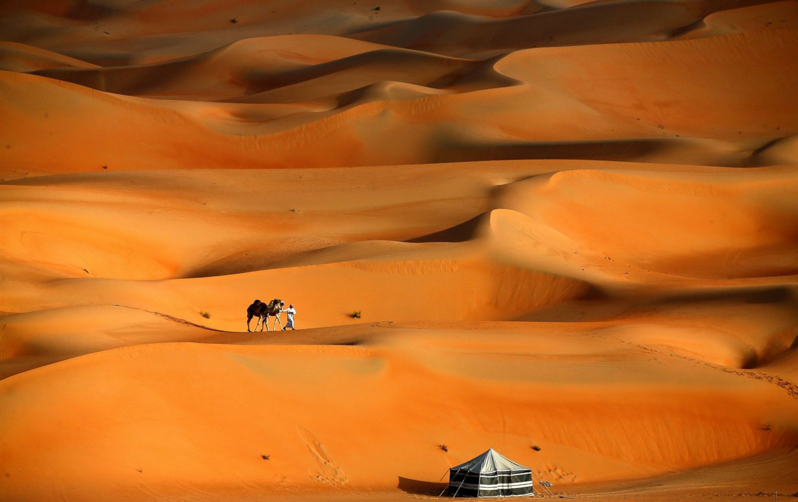 Liwa 2016 Moreeb Dune Festival Photos | Image #81 - ABC News