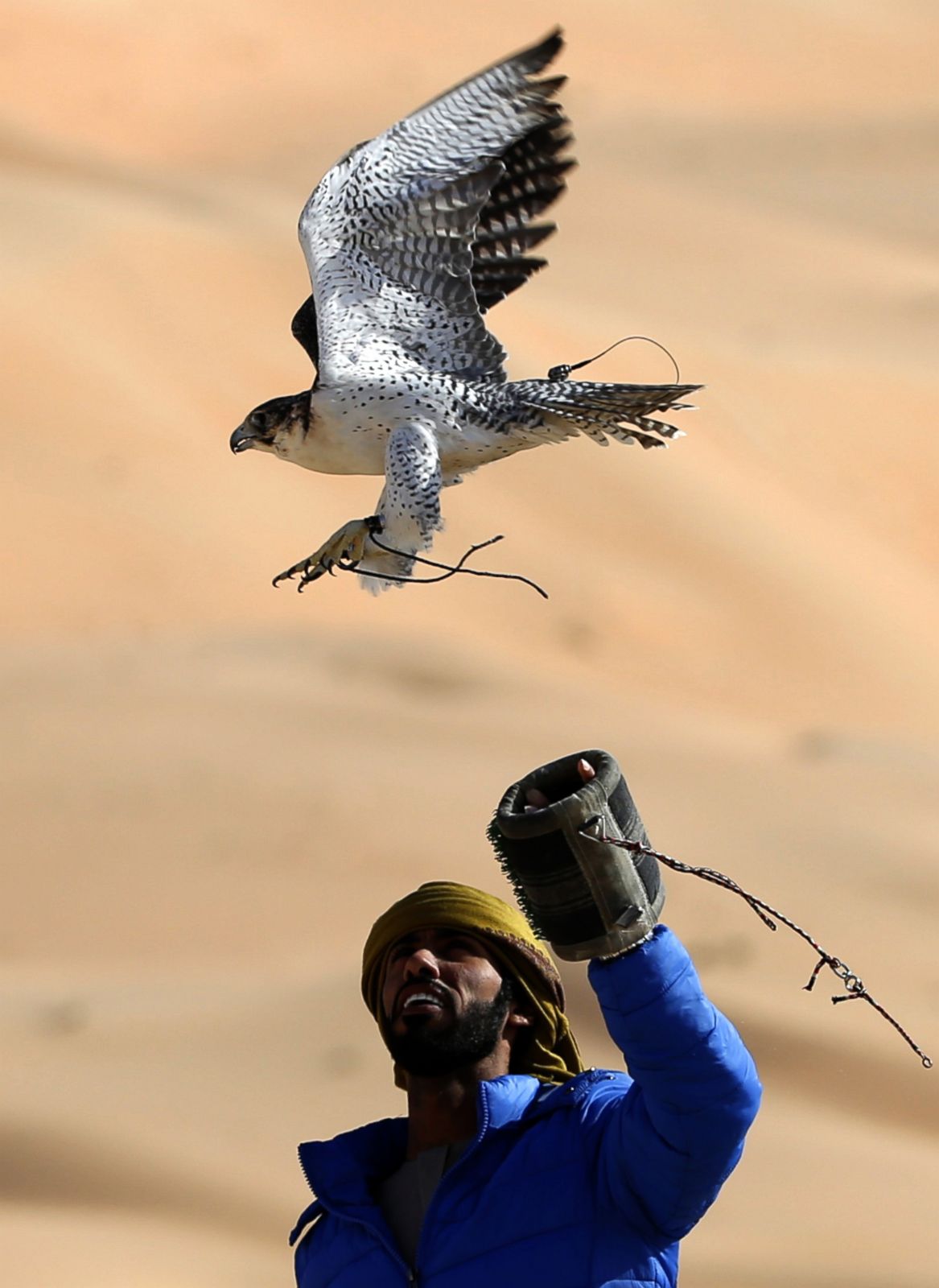 Liwa 2016 Moreeb Dune Festival Photos | Image #81 - ABC News