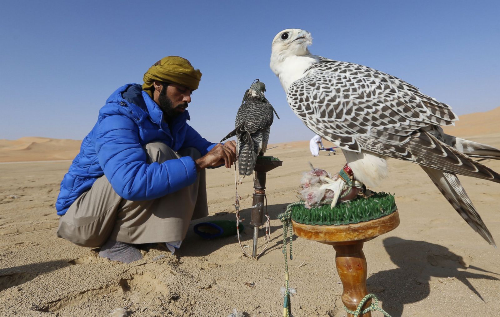 Liwa 2016 Moreeb Dune Festival Photos | Image #81 - ABC News