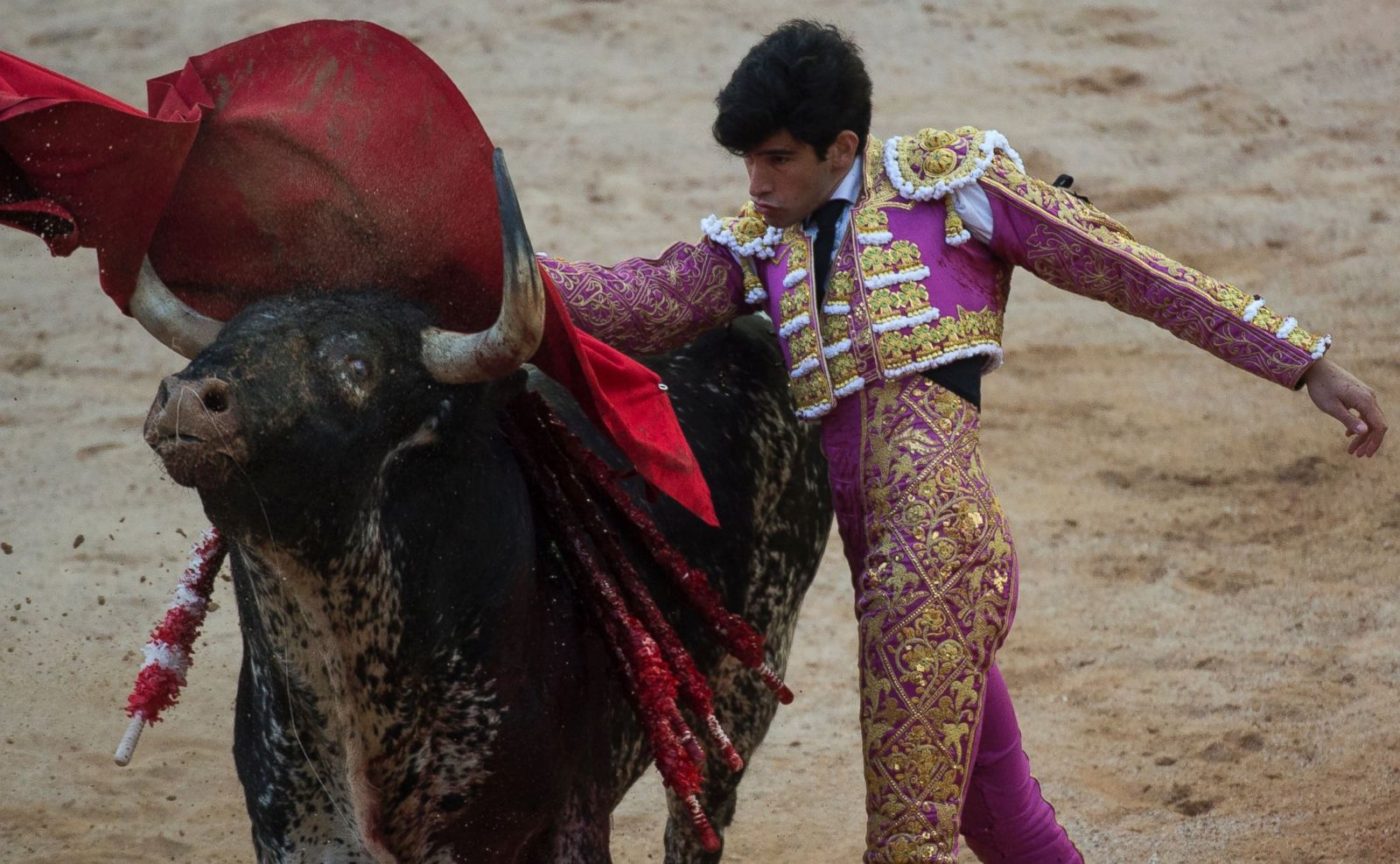 Running of the Bulls in Pamplona Photos | Image #41 - ABC News