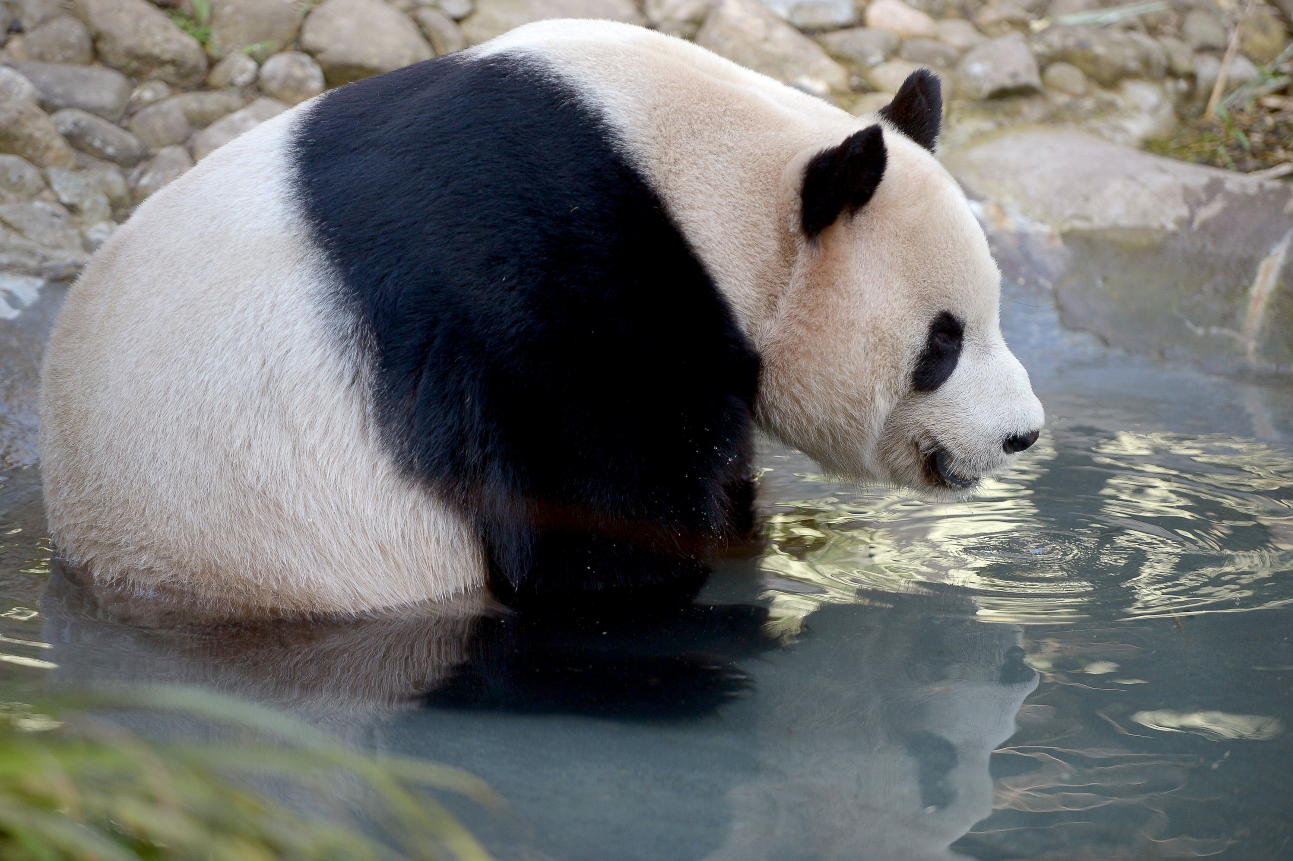This Week in Pictures: April 12 - 18, 2014 Photos | Image #151 - ABC News