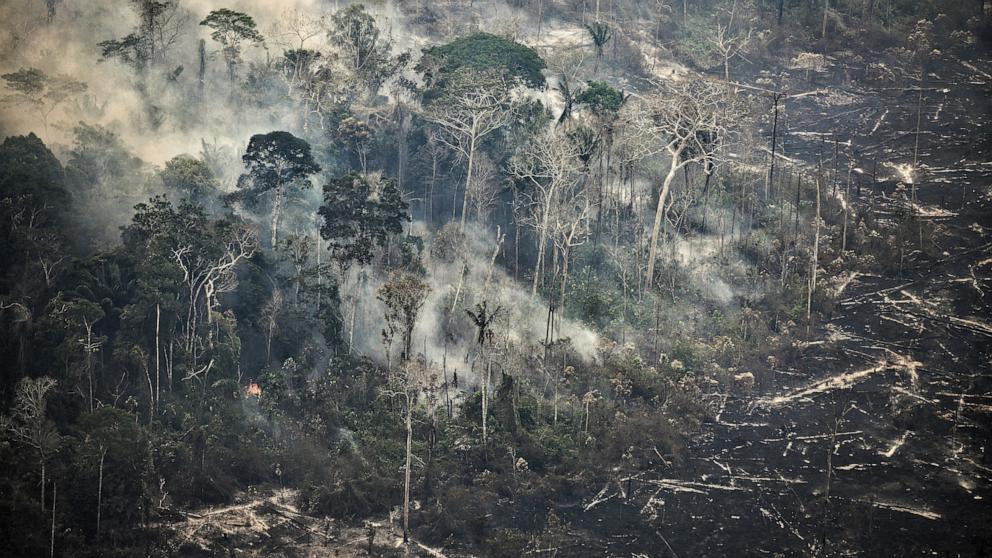 Climate and environment updates: Fires destroyed millions of acres of ...