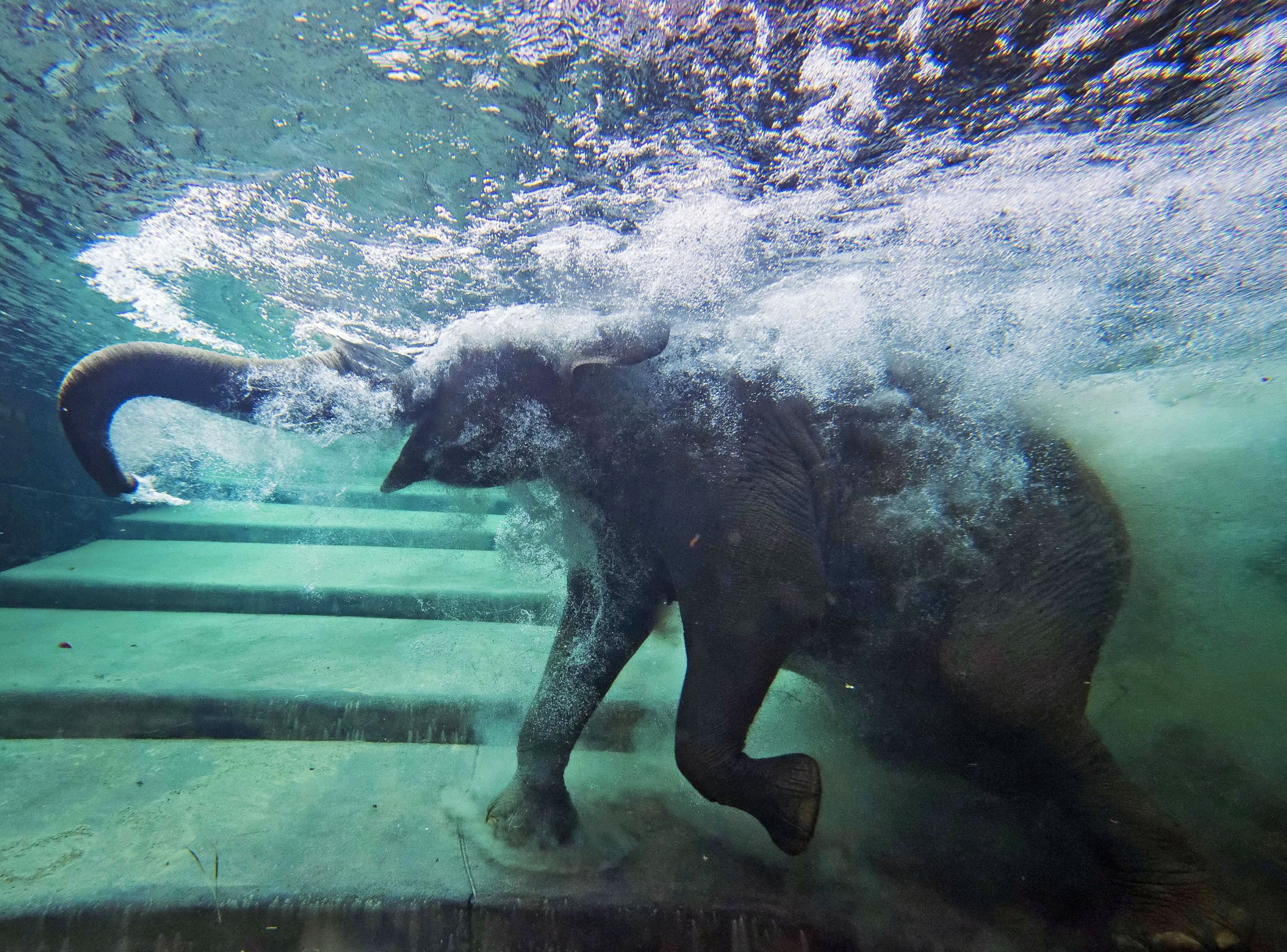The Week In Pictures Aug 2 Aug 8 Photos Image 161 ABC News The Week In Pictures Aug 2 Aug 8 Photos Image 161 ABC News