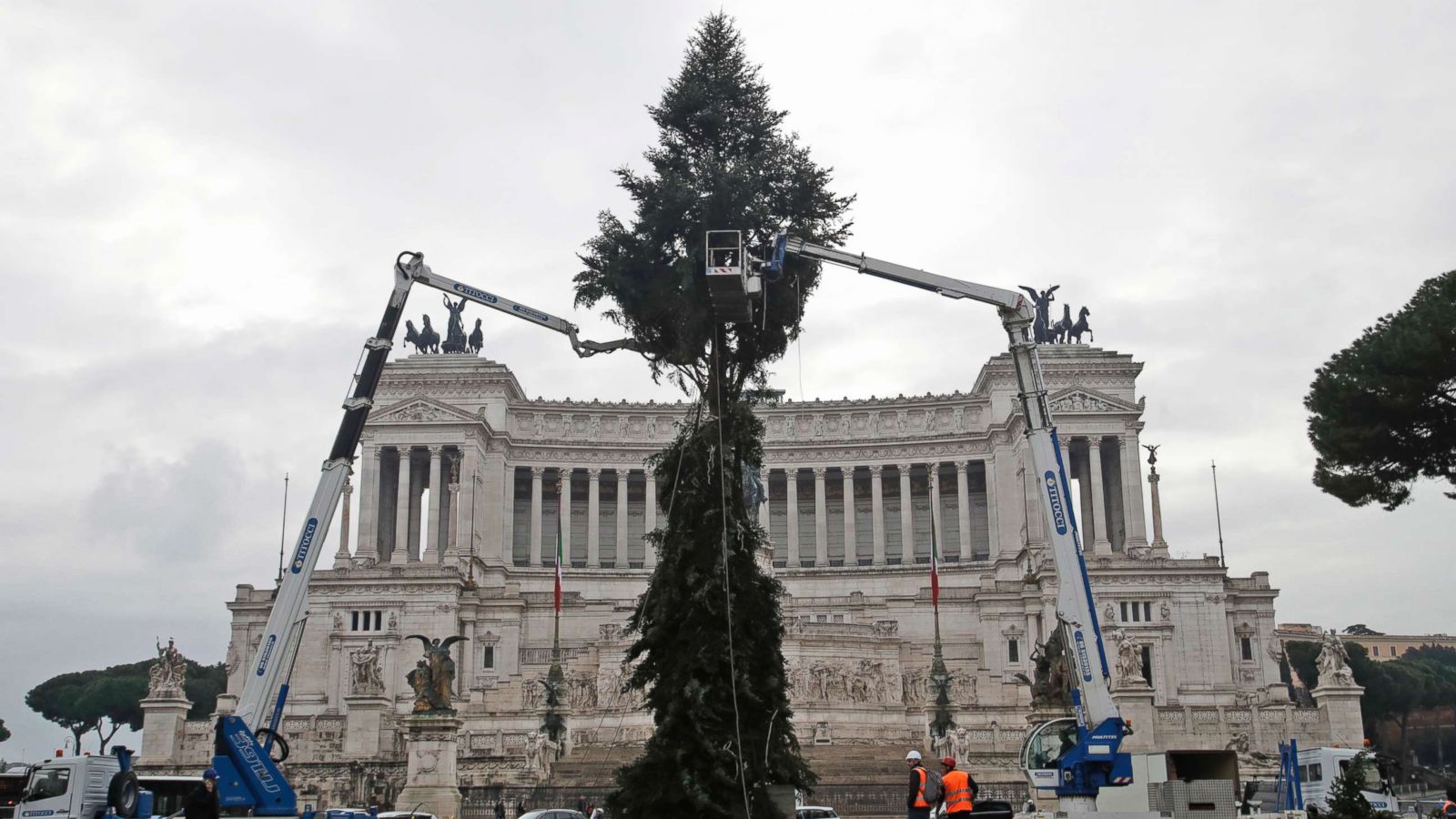 Rome's Christmas tree causes a stir, once again - Good Morning America