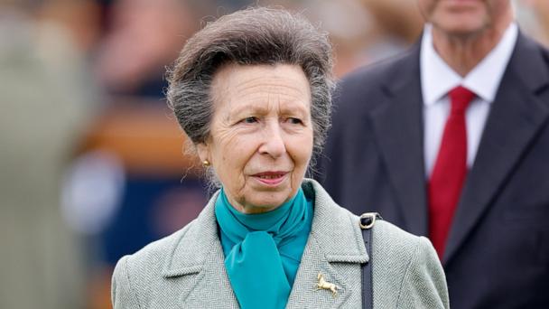 Britain's Princess Anne hospitalized after 'incident,' palace says ...