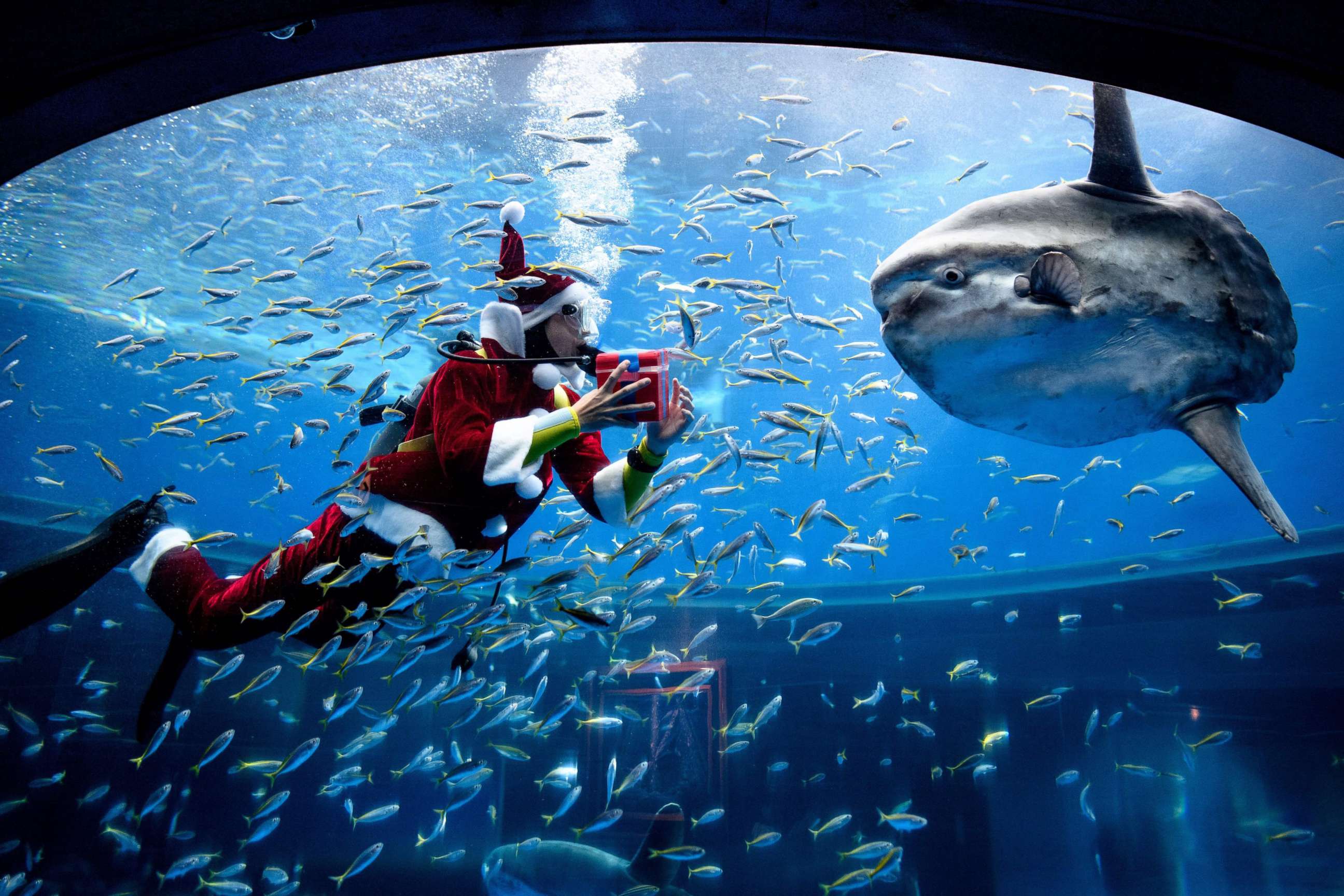 Santa celebrations around the world during a pandemic Photos | Image ...
