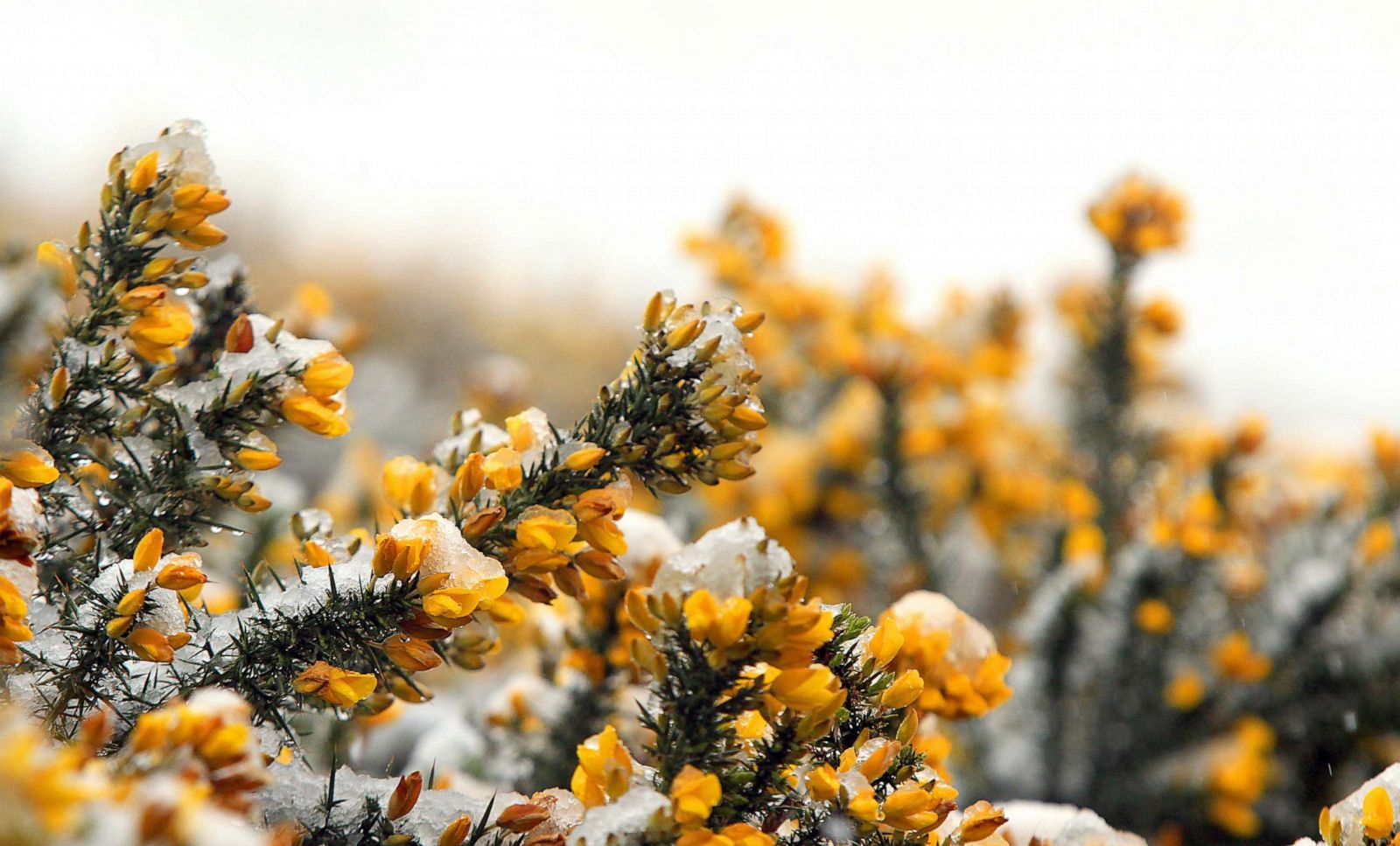 Spring around the world Photos | Image #231 - ABC News