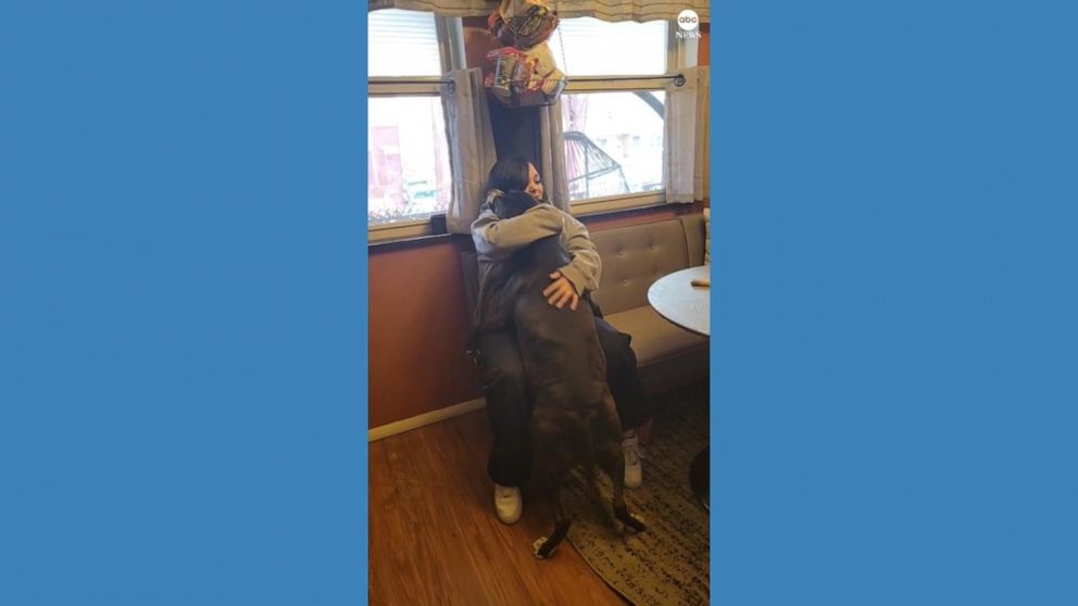 Video Dog reunites with owner after more than 100 days apart - ABC News Video Dog reunites with owner after more than 100 days apart - ABC News