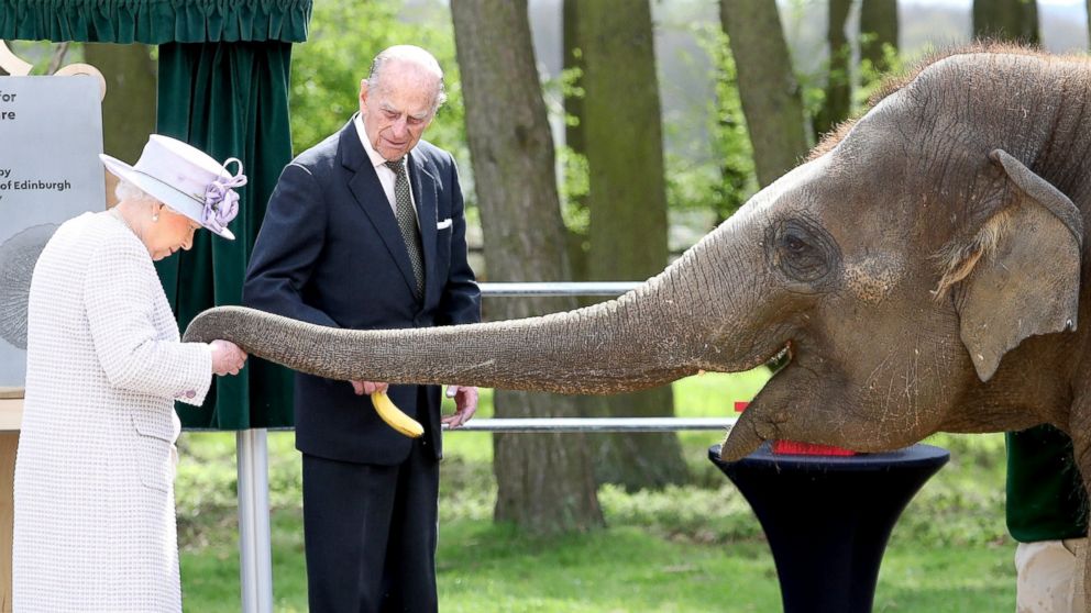Elephant snatches bananas from Queen Elizabeth, Prince Philip - Good ...