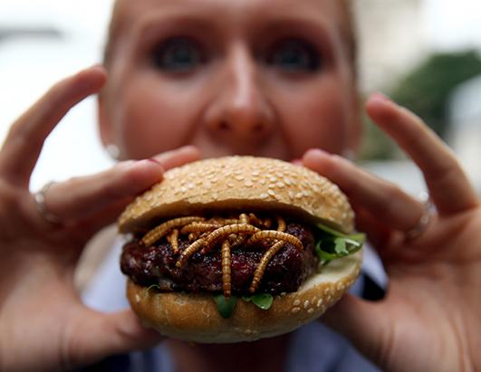 Rentokil Introduces Bug Based Pop-Up Restaurant Picture | Bug Out ...