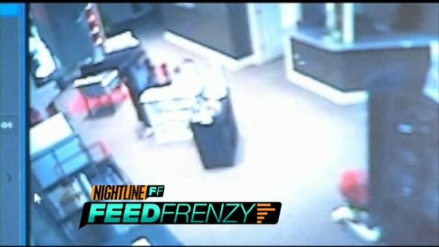 Video Feed Frenzy: Caught on Camera - ABC News
