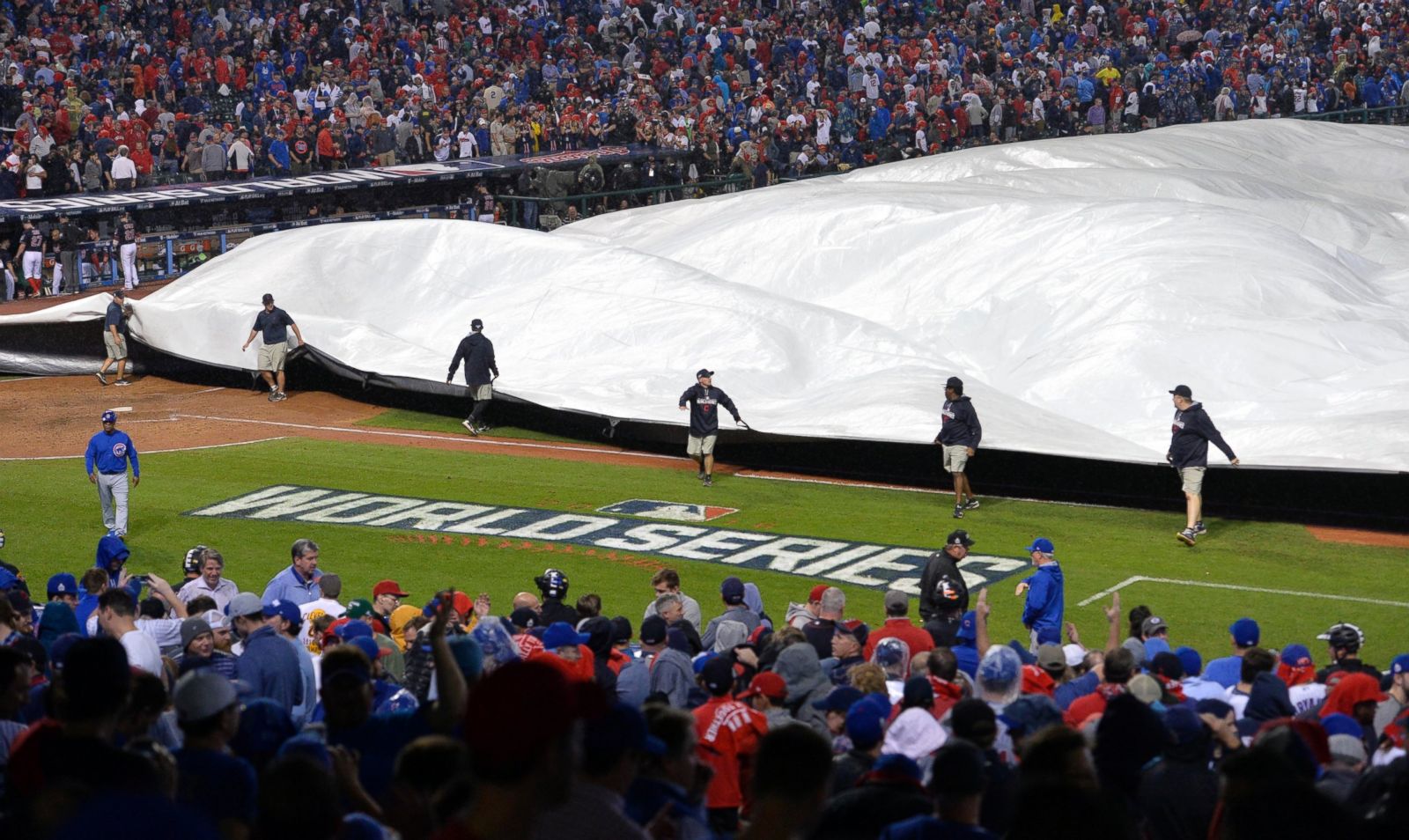 Chicago Cubs celebrate World Series Championship Picture | The 2016 ...