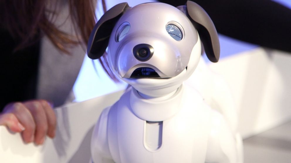 Robo Dog New Sony Aibo Robot Dog Demonstrated At CES 2018 Geeky