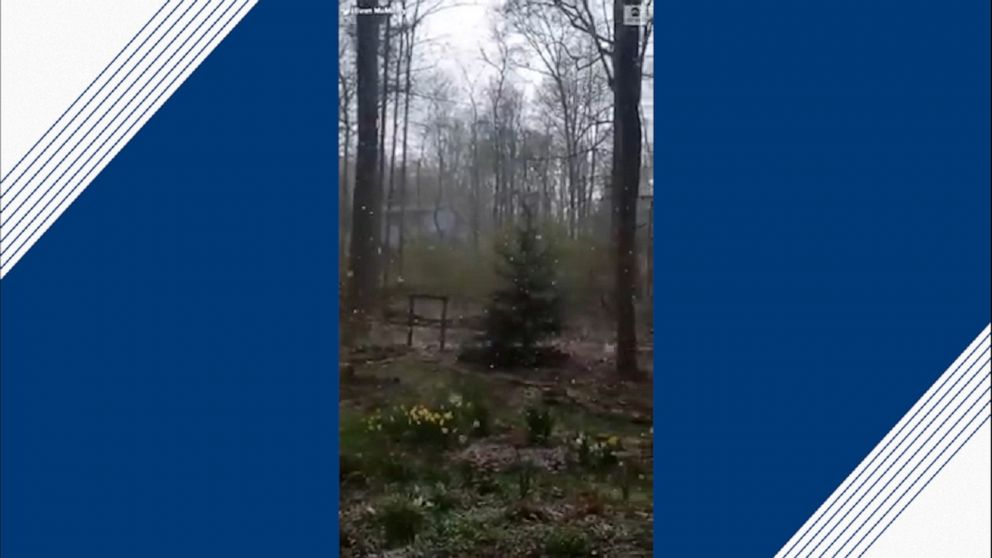 Spring snow falls in Pennsylvania | GMA
