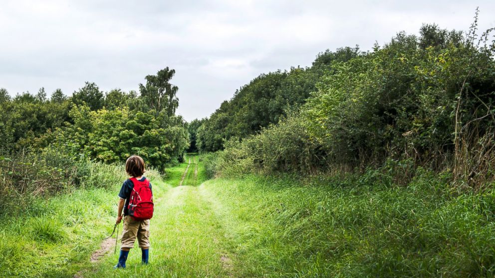 How to protect your family during tick season - ABC News