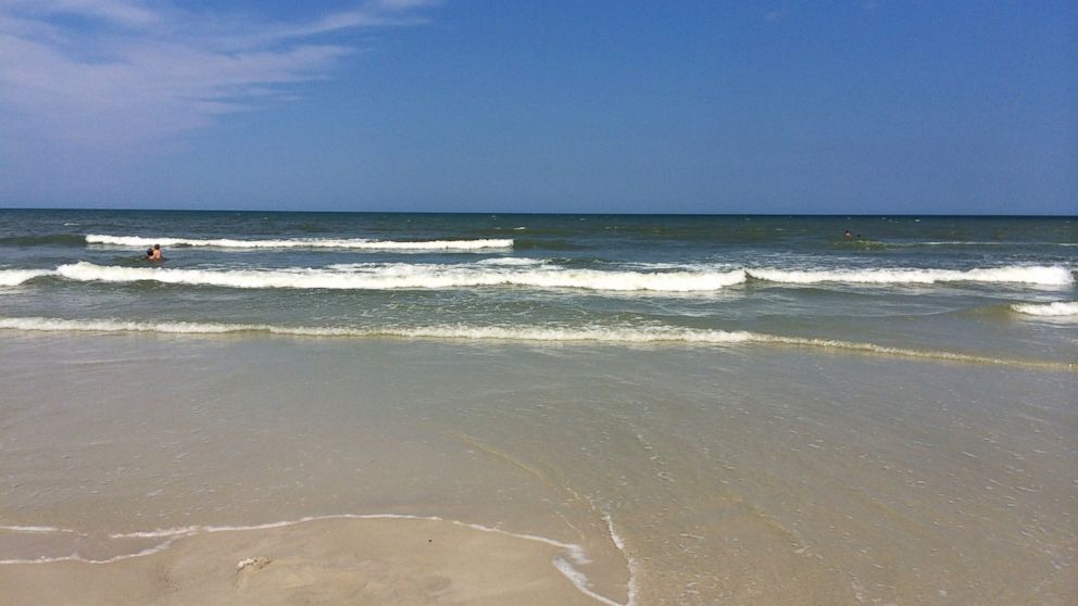 Boy Bitten by Shark in Waist-Deep Water in Florida, Suffering 'Severe ...