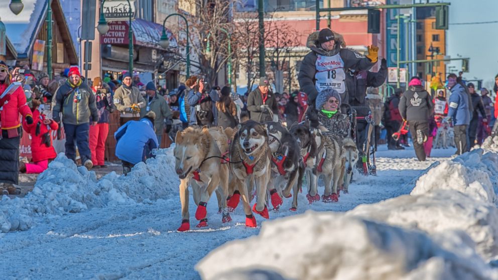 Why these 2 mushers brave ice, snow and freezing temps to compete in ...