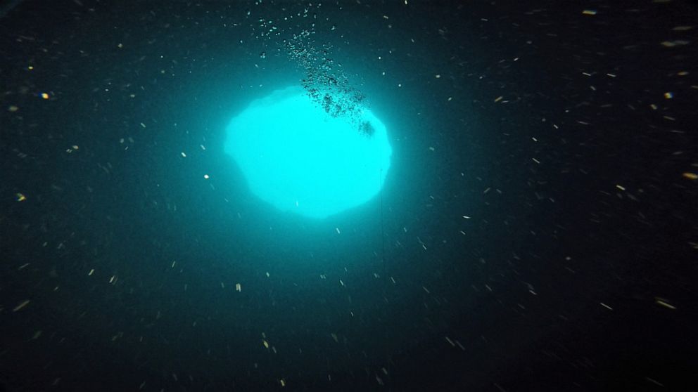 Scientists flock to mysterious 'blue hole' off Florida's Gulf Coast ...
