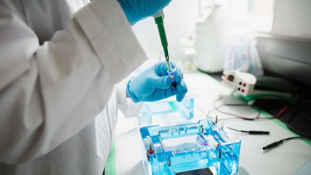 I Wasnt Sure We Would Ever Find Out How Dna Genetic Genealogy Made