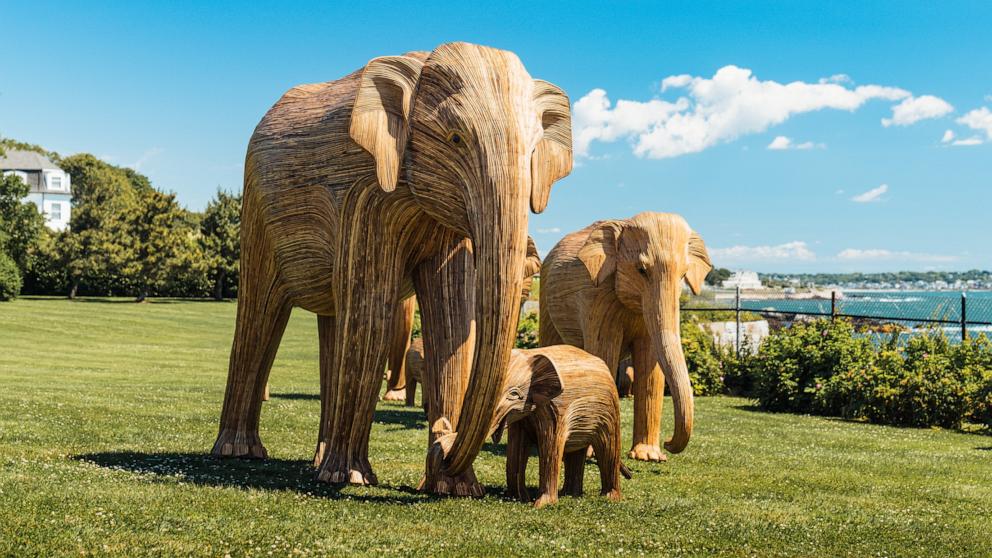 Elephants Herd Tree Mount Elephants Drunk In The Wild? Scientists Put