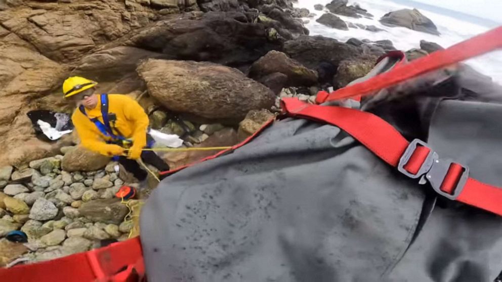 Man arrested for allegedly intentionally driving a car off cliff with ... Man arrested for allegedly intentionally driving a car off cliff with ...