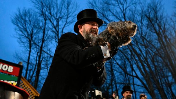 Punxsutawney Phil predicts early spring after not seeing his shadow on ...