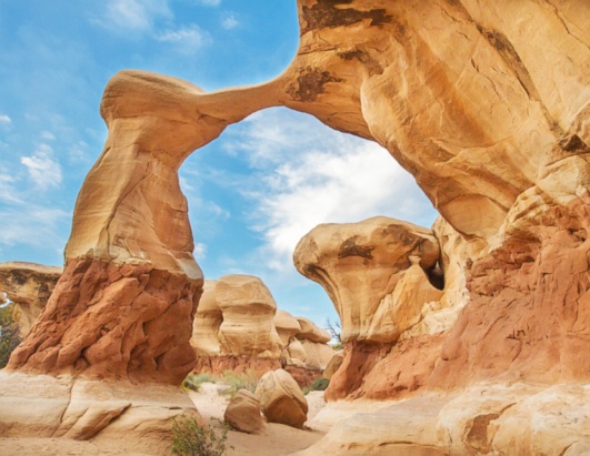 An Inside Look At Closed National Parks Picture | What’s Going on ...