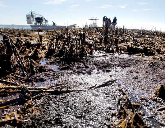 Two-Year Anniversary of the Gulf Coast Oil Spill Photos - ABC News