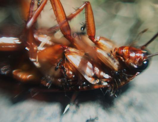 Phobias come in all shapes and sizes, every day of the year. Picture ...