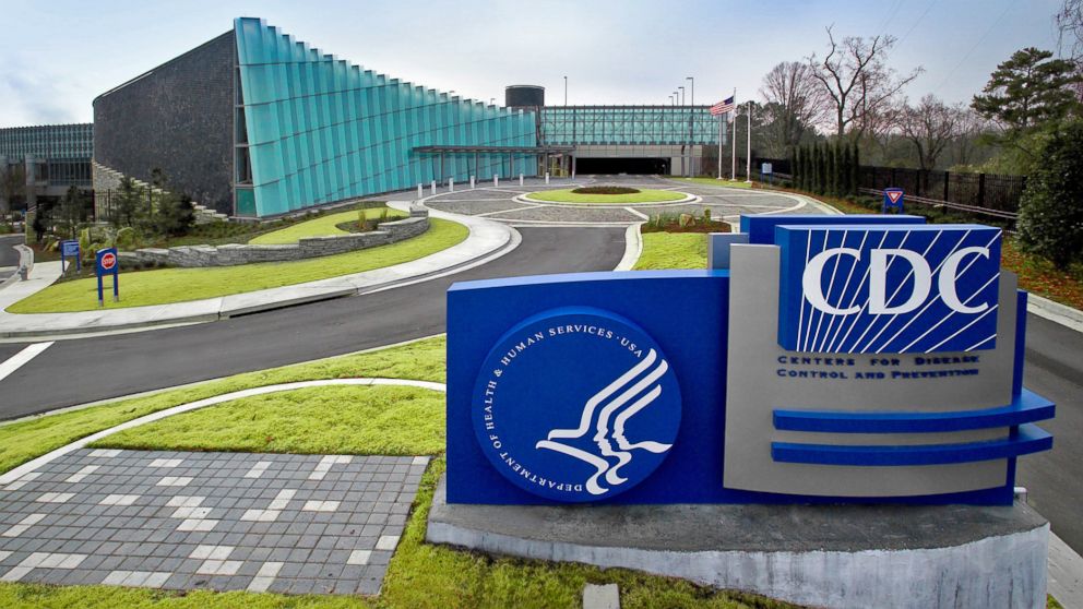CDC warns not to 'kiss or cuddle your turtle' as salmonella outbreak ...