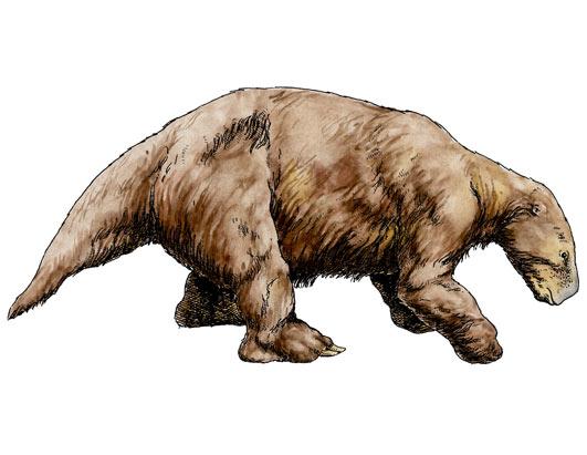 Ice Age Mammals found in Colorado Picture | Rare discovery of Ice Age ...