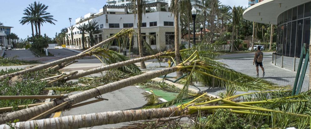 Florida police report looting as Hurricane Irma battered the state ...